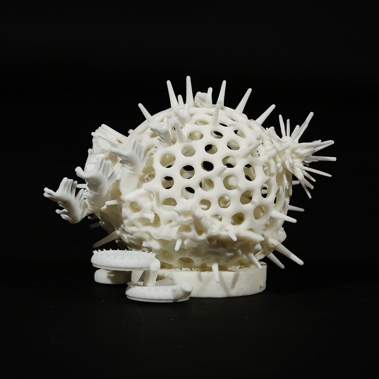 Sentinel Species - Shared Campus