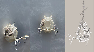 Sentinel Species - Shared Campus