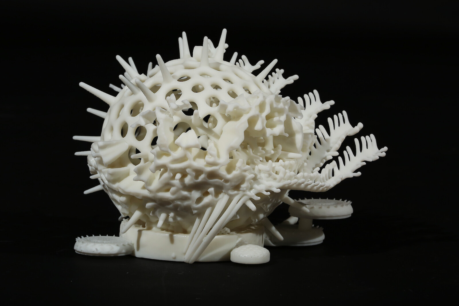 Sentinel Species - Shared Campus